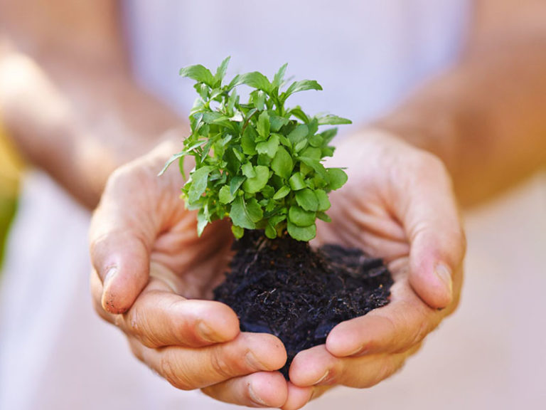 Go Green Certification – Prime Group of Companies